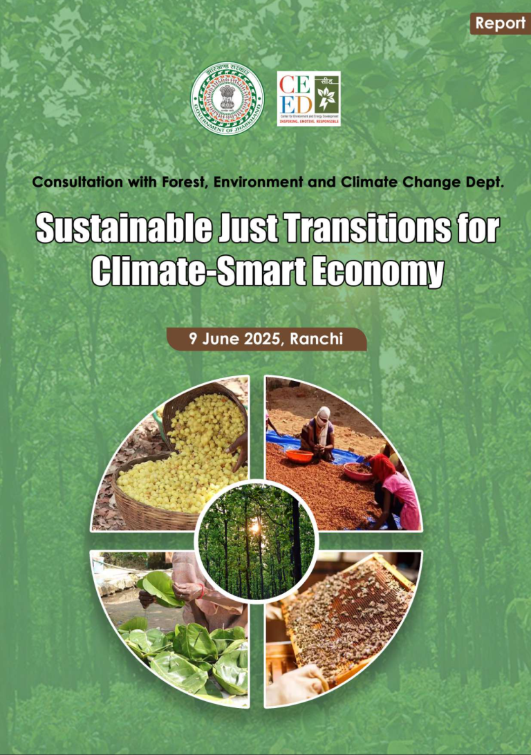 Sustainable Just Transitions for Climate-Smart Economy | Task Force ...